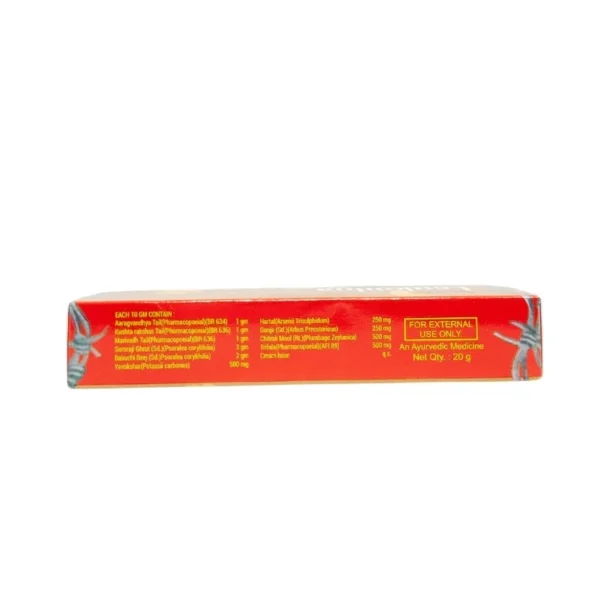 Leukodna Lep (20Gm) - Ajmera Pharma - AyurCentral Online