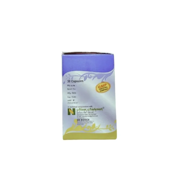 Testo Fit Tab (30Tabs) - Neon Naturals - AyurCentral Online