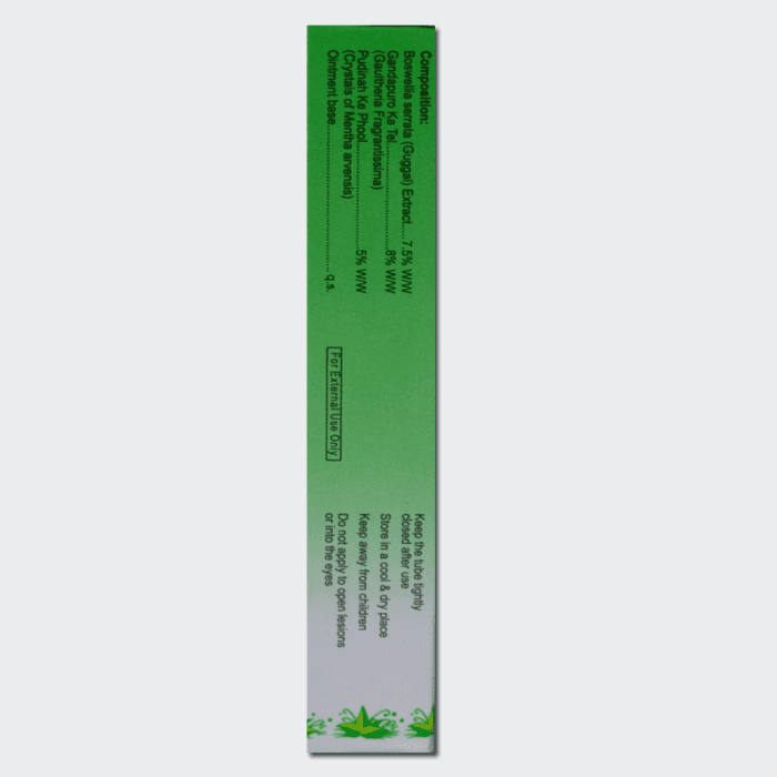 Sallaki Ointment (30Gm) – Gufic Biosciences - Ayurcentral Online