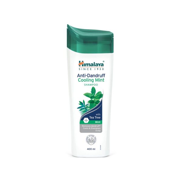Anti - Dandruff Cooling Mint Shampoo - AyurCentral Online