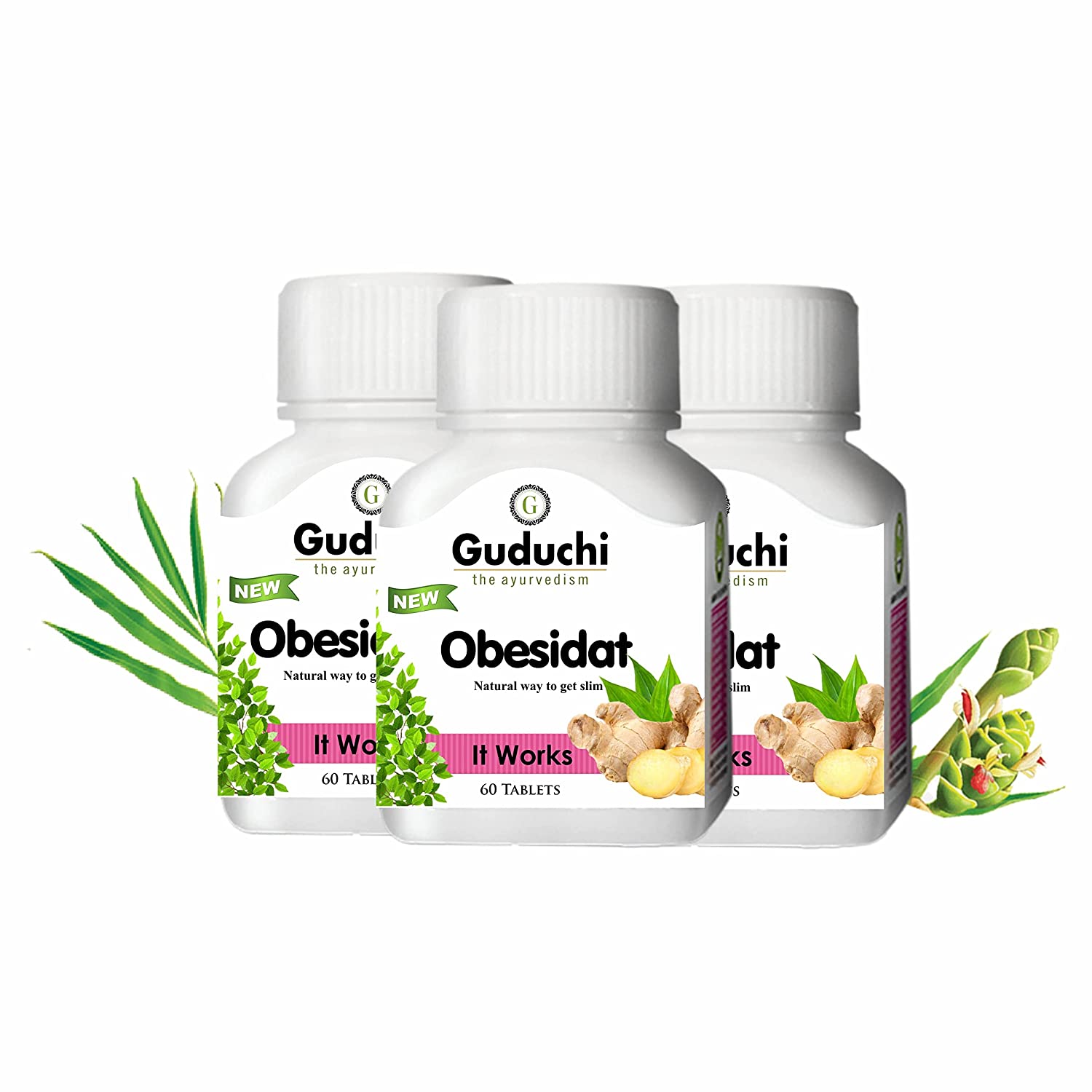 Obesidat Tablet Combi Pack (2+1) - Guduchi - AyurCentral Online