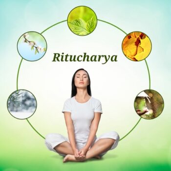 Ayurvedic Ritucharya - Your Seasonal Wellness Path
